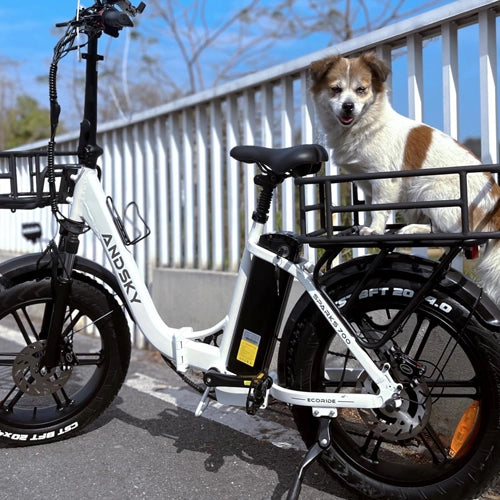 The Ultimate Guide to Electric Bikes: What You Need to Know Before You ...